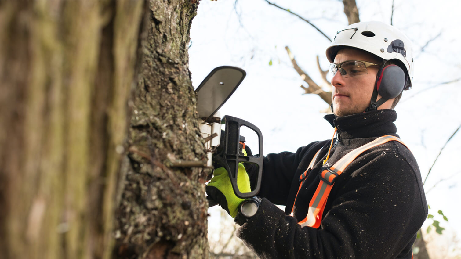 Monster Tree Service Franchise | Authority Brands